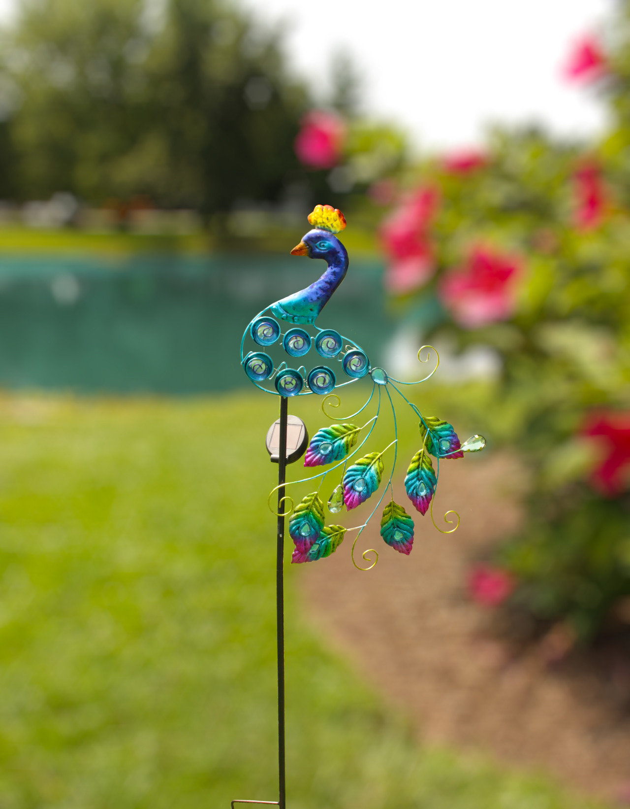 Stake Solar Peacock - Tropical - Garden Statues And Yard Art - by RCS ...