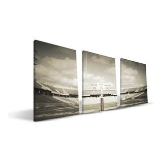 SWT Bobcats Bobcat Stadium Canvas Print, 24"x48" - Contemporary ...