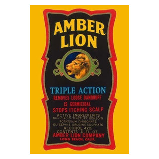 Amber Lion Triple Action, 20" x 30" - Traditional - Prints And Posters ...