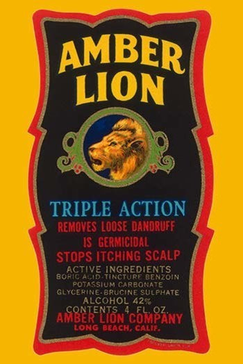 Amber Lion Triple Action, 20" x 30" - Traditional - Prints And Posters ...