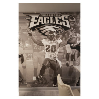 Philadelphia Eagles Lower Level Lounge - Transitional - DC Metro - by ...