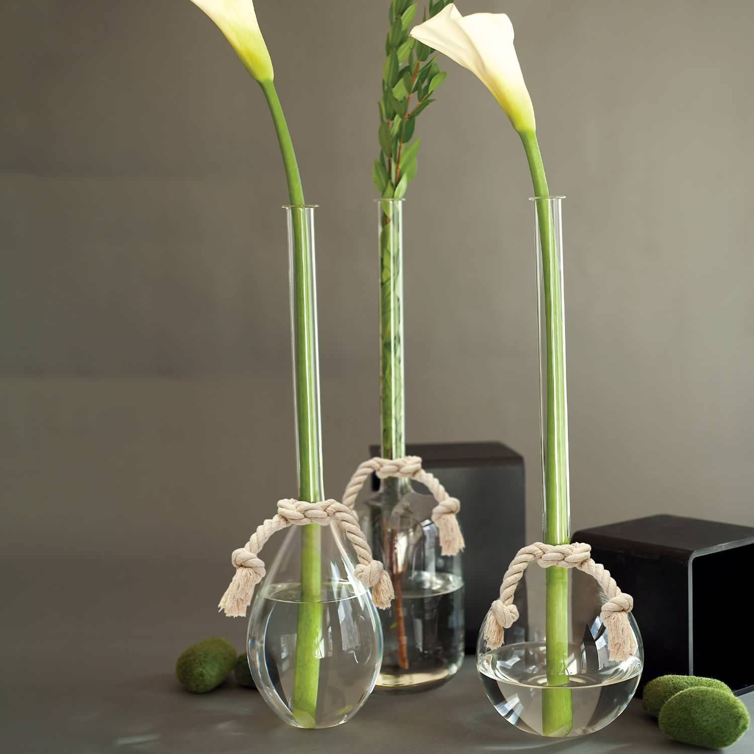 Two's Company 53911 Sleek And Chic Vase With Knotted Rope - Beach Style ...