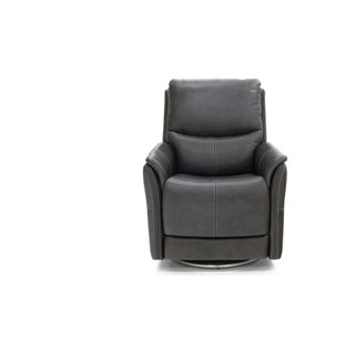 Salem Rainer Steel Swivel Recliner With Power Recline, Head Rest ...