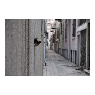 "Dantel Street Cat" Digital Paper Print by Ali Ayer, 20"x14", 38"x26 ...