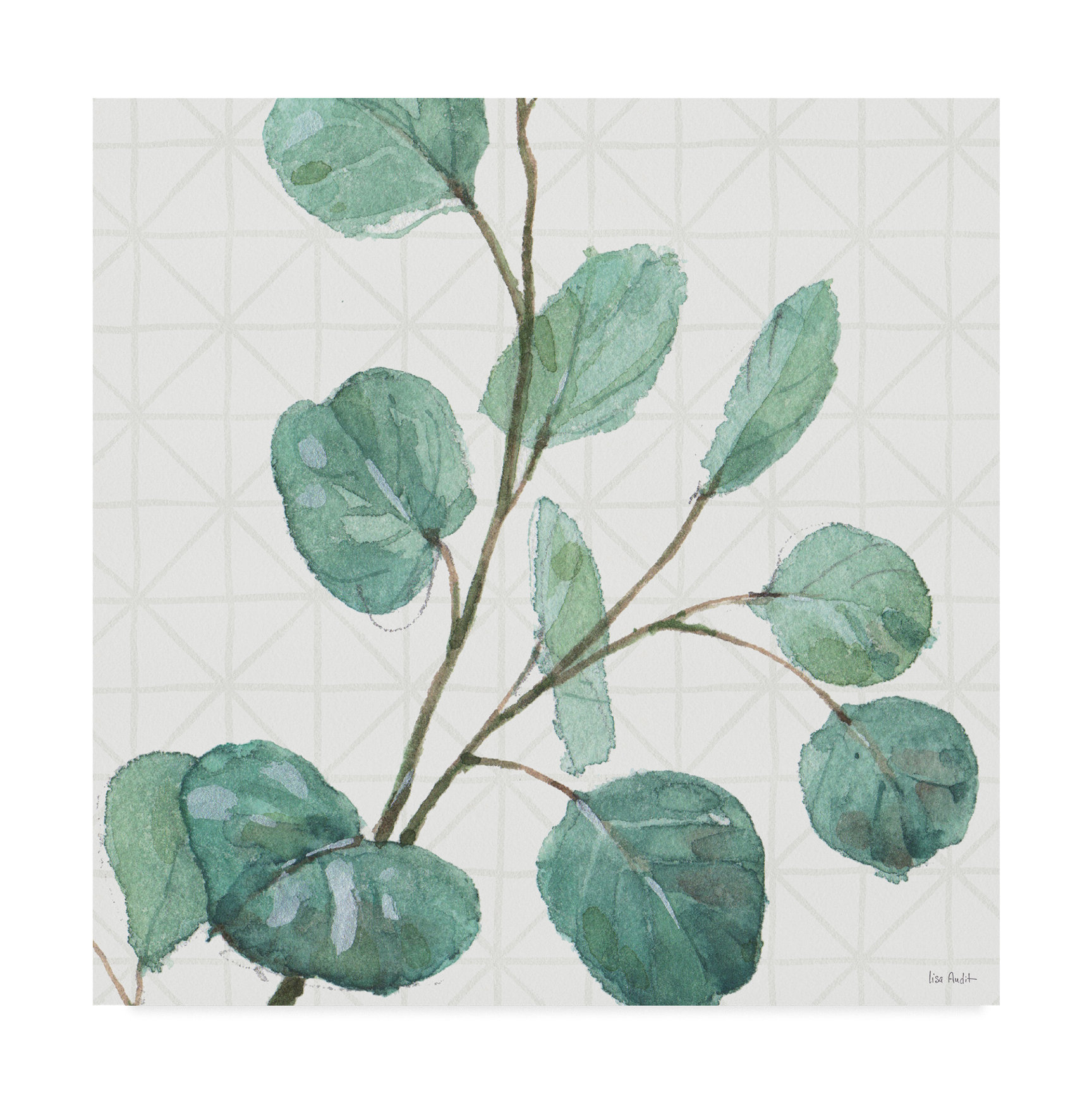 Lisa Audit 'Mixed Greens Li' Canvas Art, 35"x35" - Contemporary ...