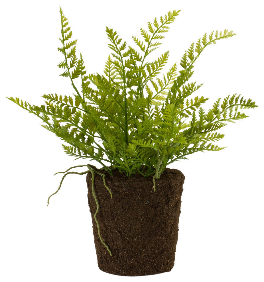 Potted Fern Plant, 3-Piece Set - Traditional - Artificial Plants And ...