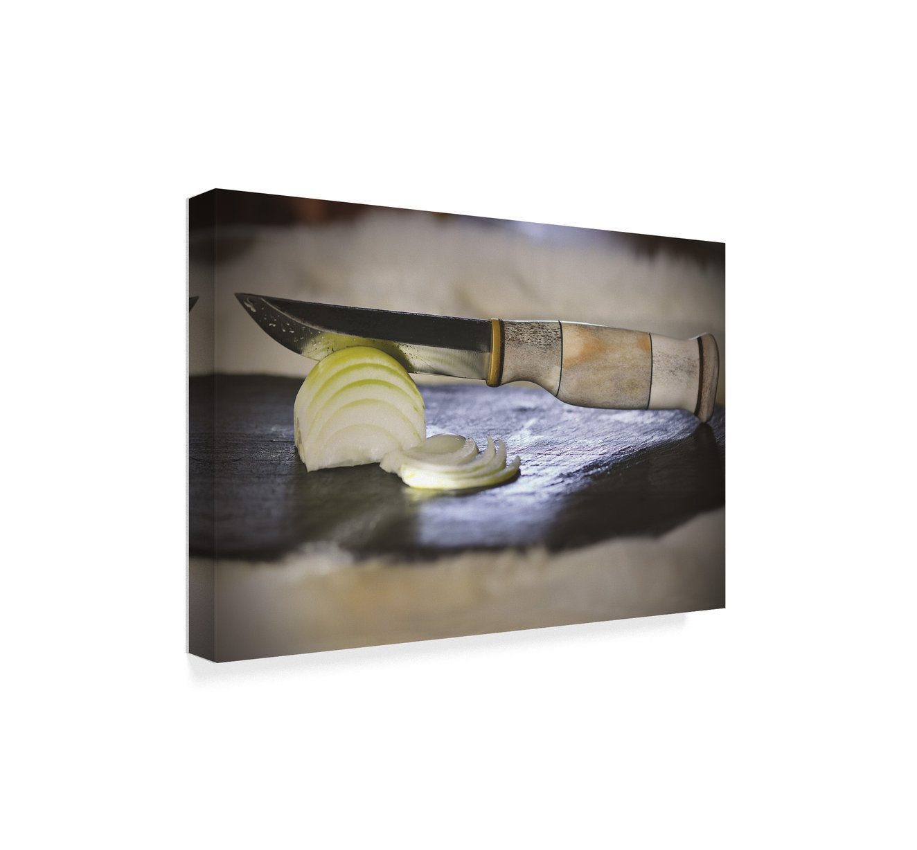 "Knife" by Christine Sainte-Laudy, Canvas Art, 22"x32" - Contemporary ...