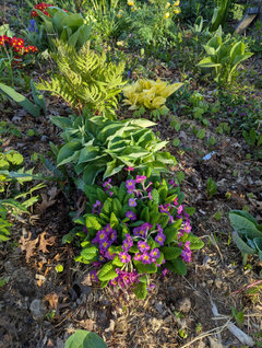 It starting to fill up