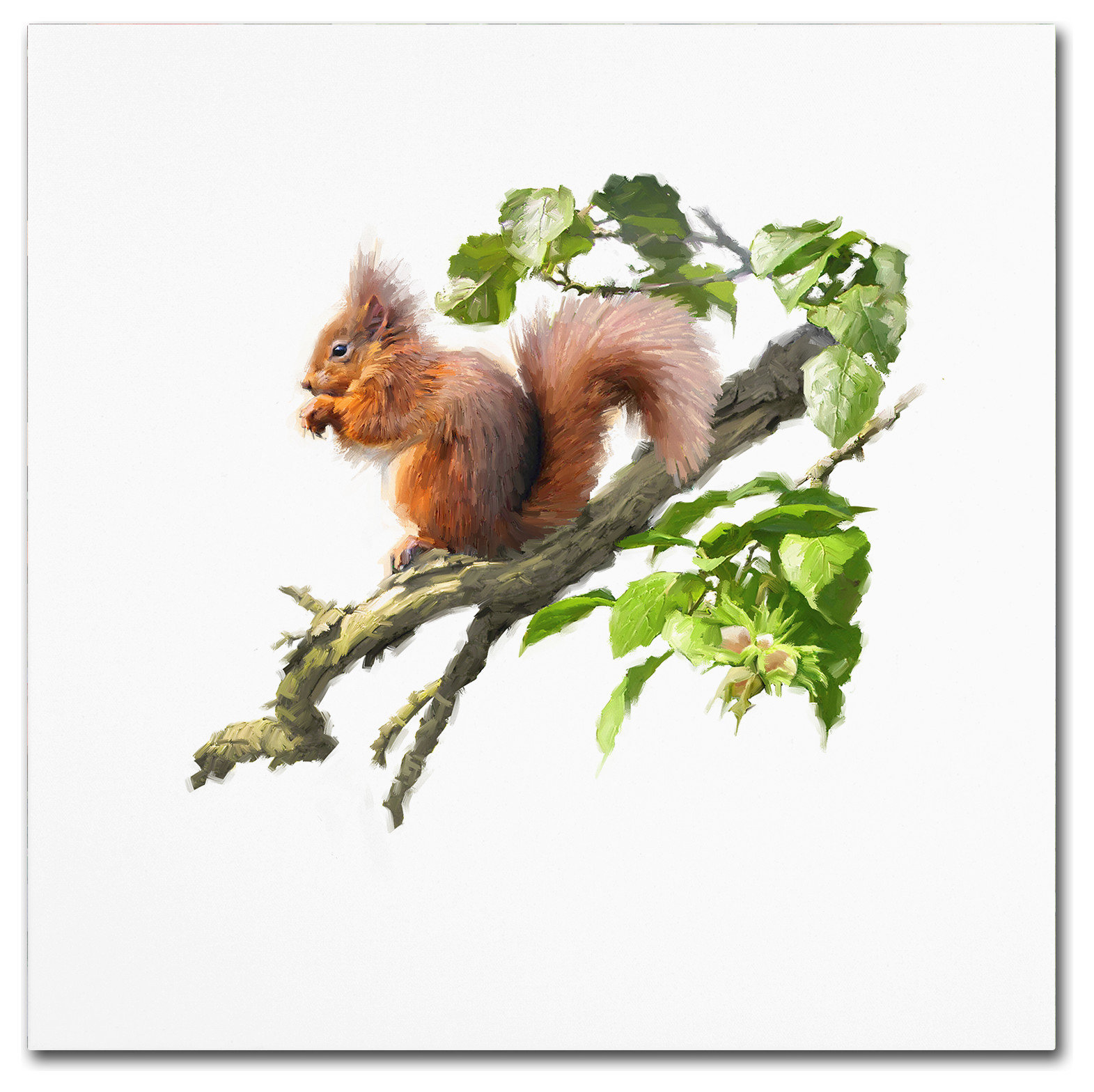 The Macneil Studio 'Red Squirrel' Canvas Art, 24"x 24" - Rustic ...