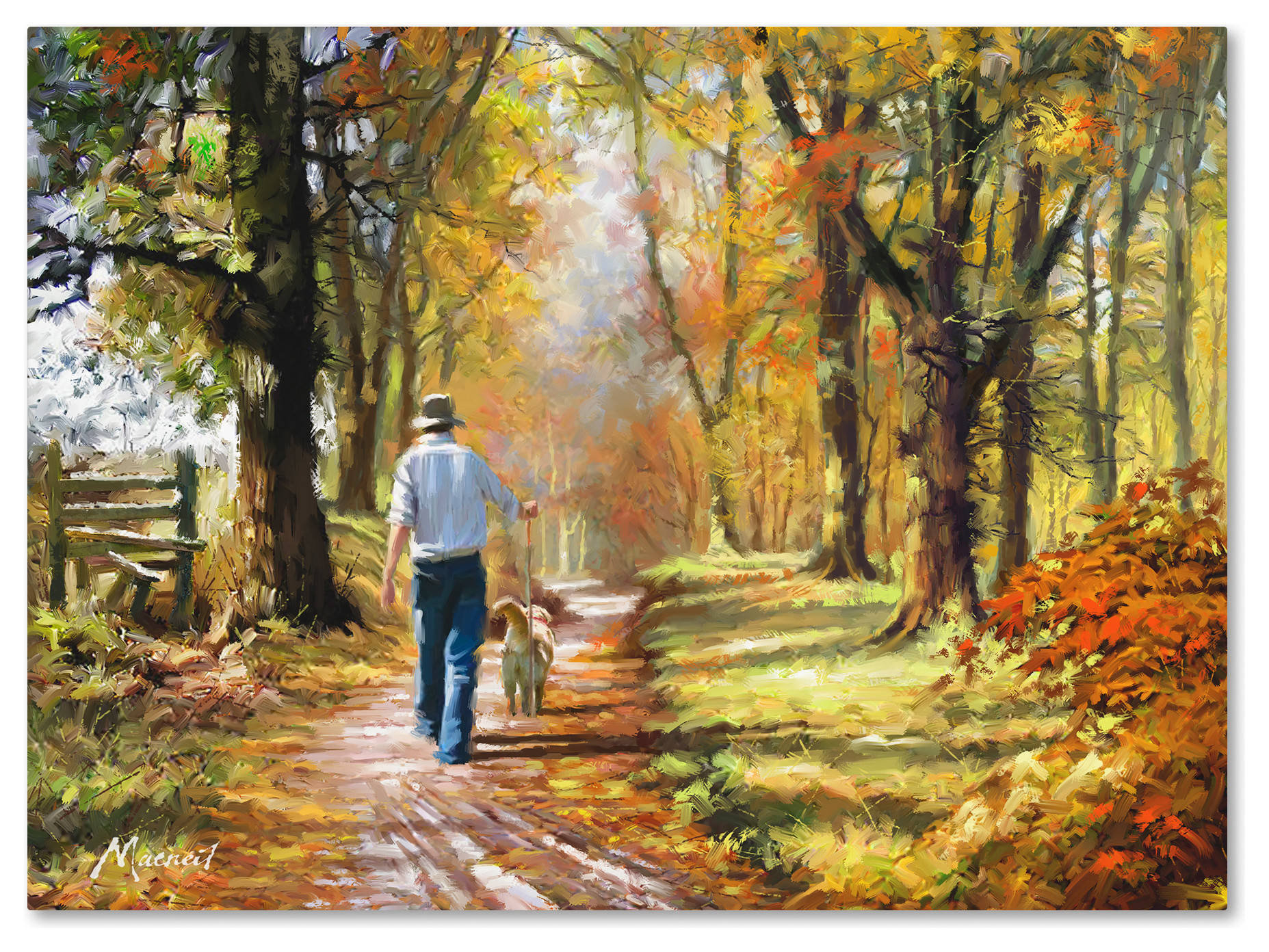 The Macneil Studio 'Rambler' Canvas Art, 24"x18" - Contemporary ...