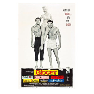 Gidget Print - Midcentury - Prints And Posters - by Posterazzi | Houzz