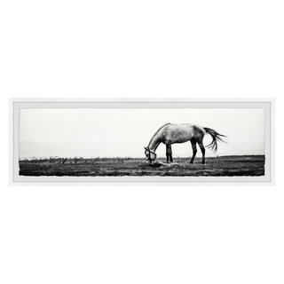 "Lone White Equus II" Framed Painting Print, 45"x15" - Contemporary ...