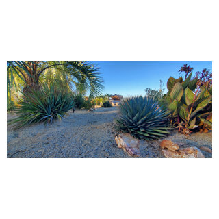 Black Oak Mountain Vineyards - Midcentury - Landscape - Sacramento - by ...