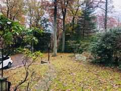 Southern exposure windows or fireplace