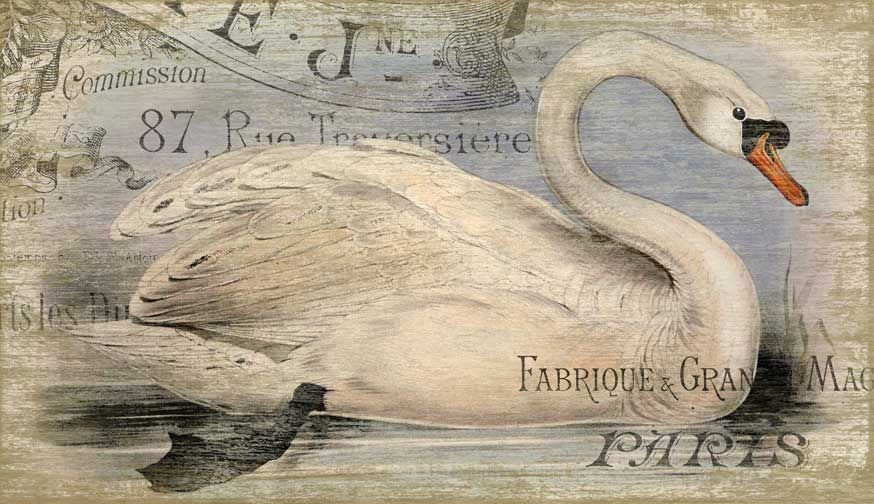 Vintage Look French Swan Wall Art - Contemporary - Prints And Posters ...