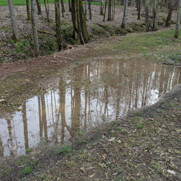 Drainage Ditch - Photos & Ideas | Houzz