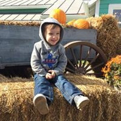 GRAY DESIGN GROUP INC - Project Photos & Reviews - Saint Louis, MO US ...