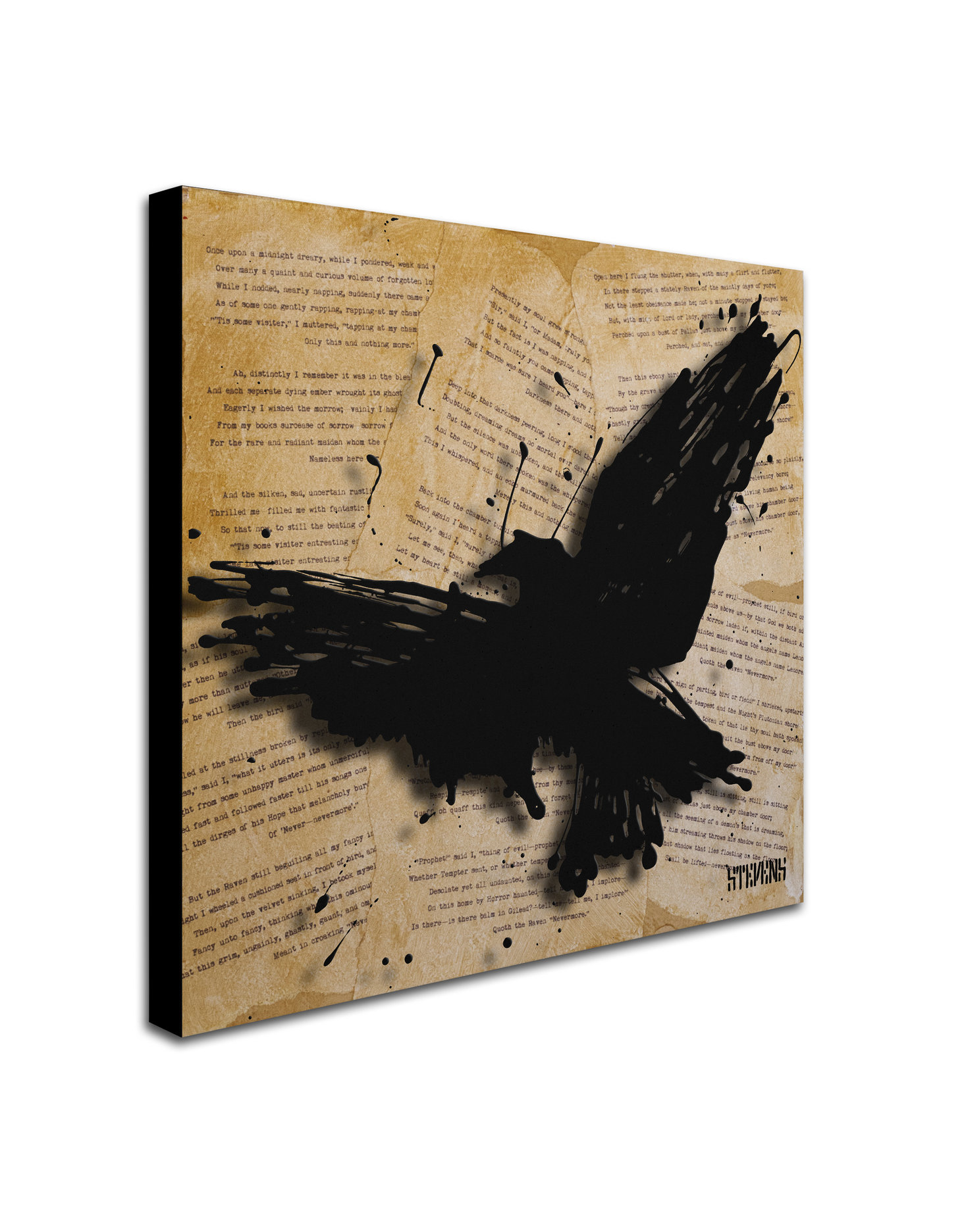 'The Raven 2' Canvas Art by Roderick Stevens, 18" x 18" - Transitional ...
