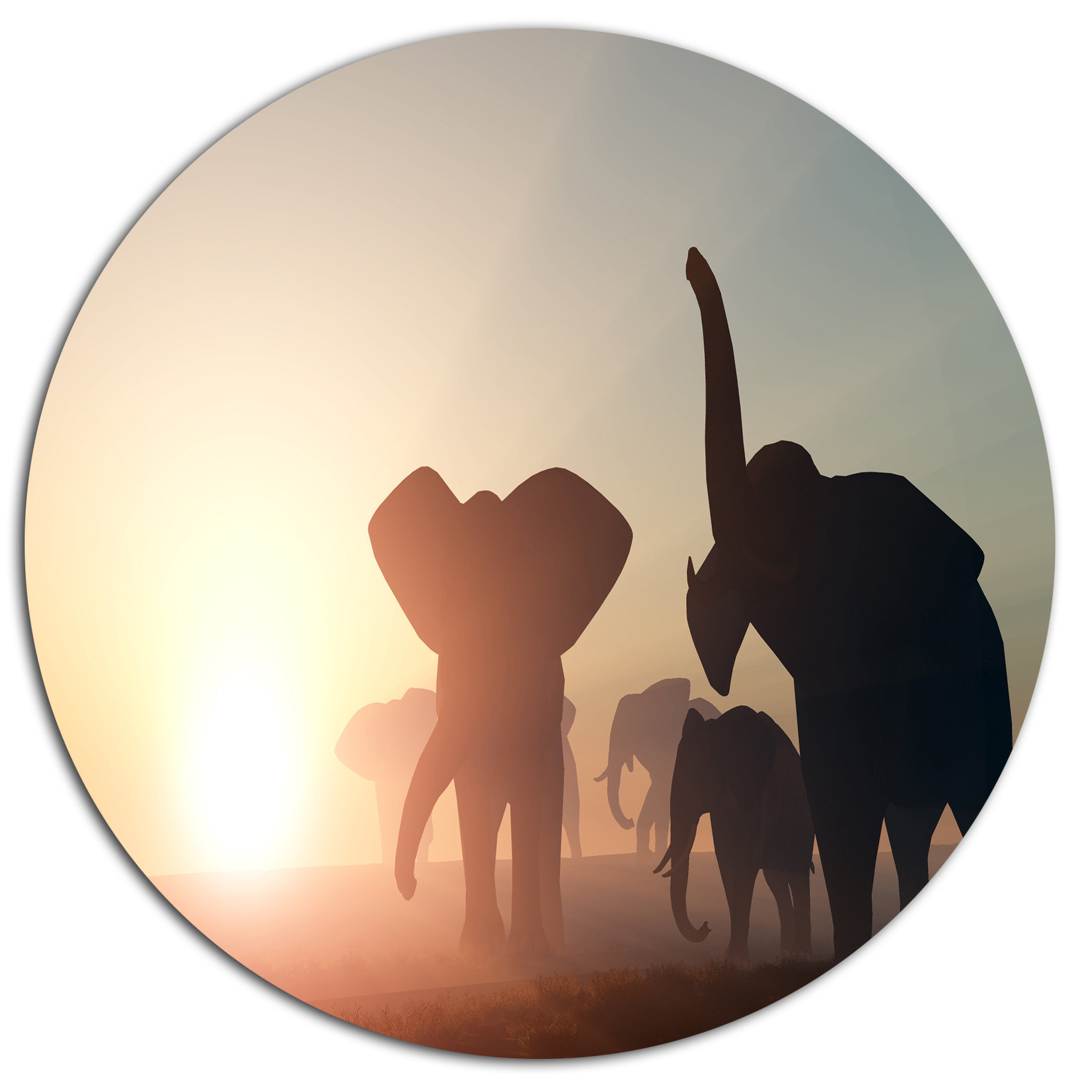 Group Of Elephants In The Wild, African Disc Metal Artwork, Disc of 11 ...