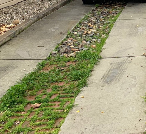 Driveway Ribbon.... Brick, Grass, Something Else?