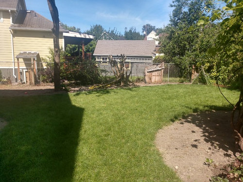 Help me create layers in this empty backyard