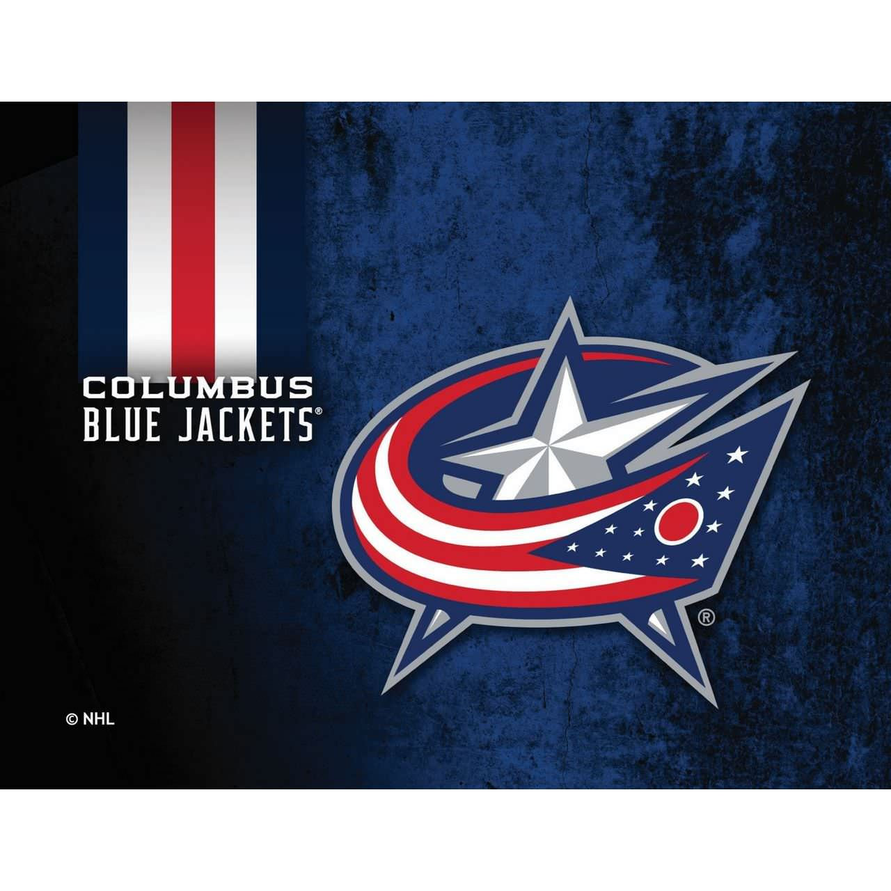 Holland Columbus Blue Jackets 24"x32" Canvas 03 Wall Art - Contemporary ...