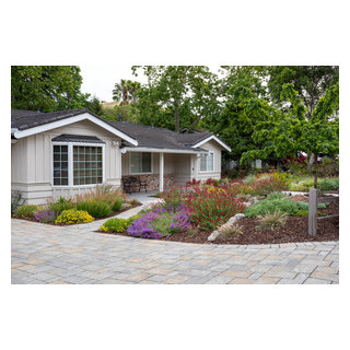 Alive With Color - Rustic - San Francisco - by Roxy Designs | Houzz