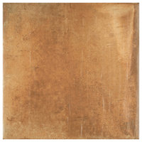 Rustic Cotto Porcelain Floor and Wall Tile - Farmhouse - Wall And Floor ...