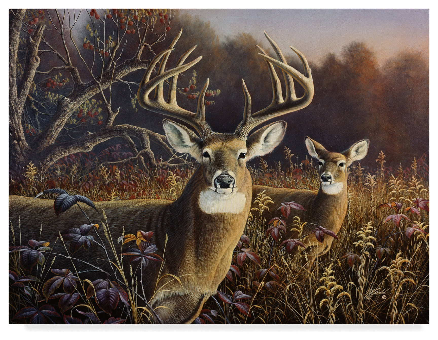 Wilhelm Goebel 'Deer' Canvas Art, 47"x35" - Rustic - Prints And Posters ...