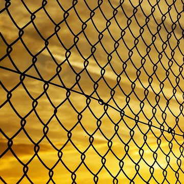 Pretty Chain Link Fence - Photos & Ideas | Houzz