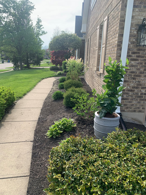 Foundation Landscaping