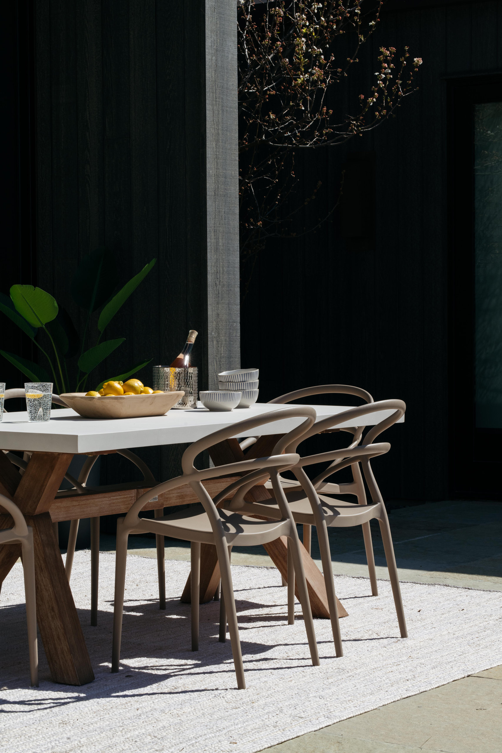 Compamia Pia Set of 2 Dining Chair - Midcentury - Outdoor Dining Chairs ...
