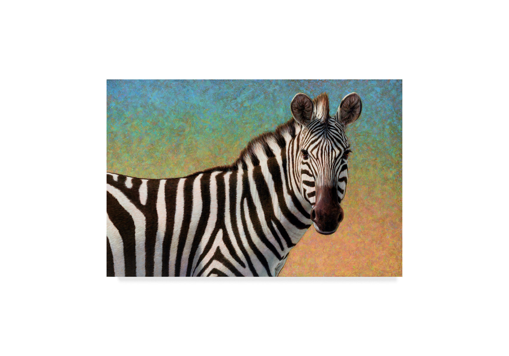 James W. Johnson 'Portrait Of A Zebra' Canvas Art, 47"x30 ...
