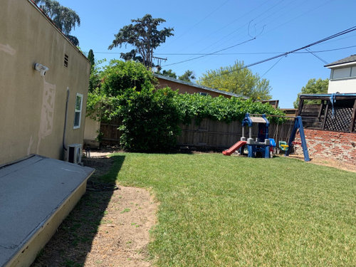 How can I fix my ugly backyard?