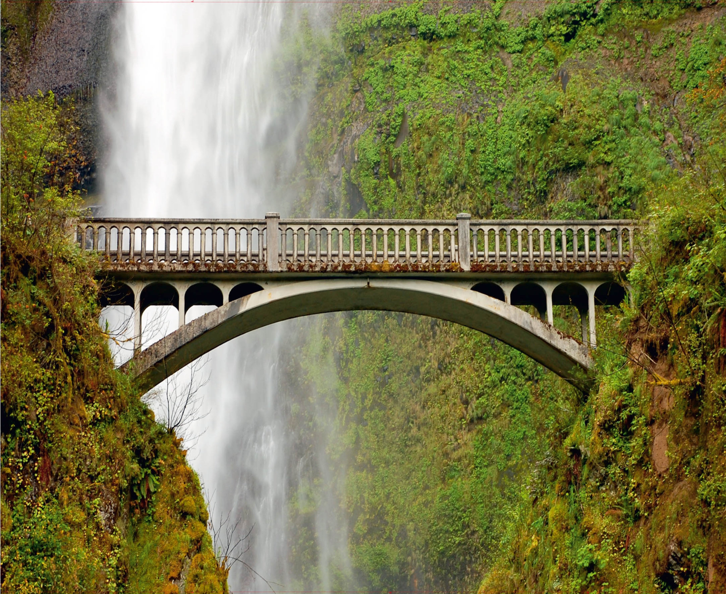 Multnomah Falls Grey Green Wall Mural 142"x106", 142 in x 106 in ...