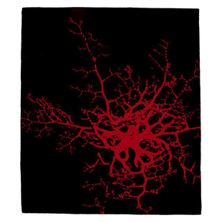 Aerial Wool Signature Rug, 6' Round - Contemporary - Area Rugs - by ...