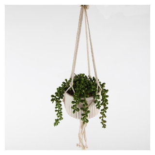 String Of Pearls Macrame Hanging Ceramic Donkey Tails - Beach Style ...