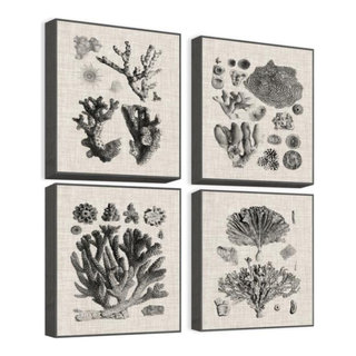 4-Piece "Coral Specimen" Quadriptych, 96"x96" - Beach Style - Prints ...
