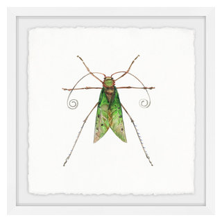 "Green Fly" Framed Painting Print, 12"x12" - Contemporary - Prints And ...