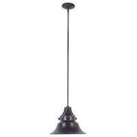 Craftmade Outdoor Union Small Pendant, Oiled Bronze Gilded - Farmhouse ...
