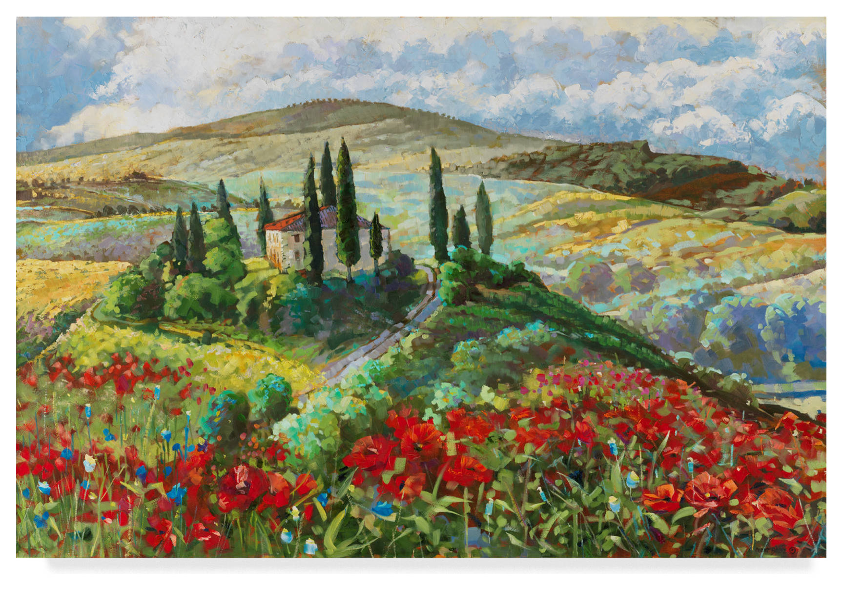 Cecile Broz 'Val Darcie' Canvas Art, 12"x19" - Farmhouse - Prints And ...