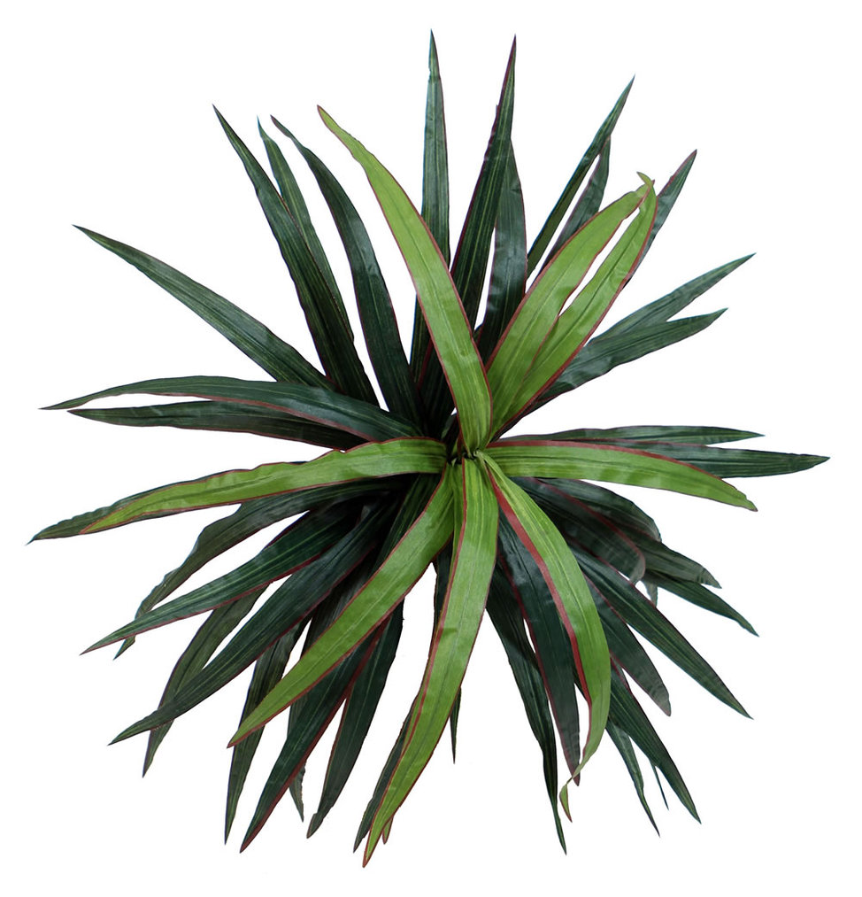 Vickerman 4' Artificial Marginata Extra Full Bush, Rattan Basket, 4 ...