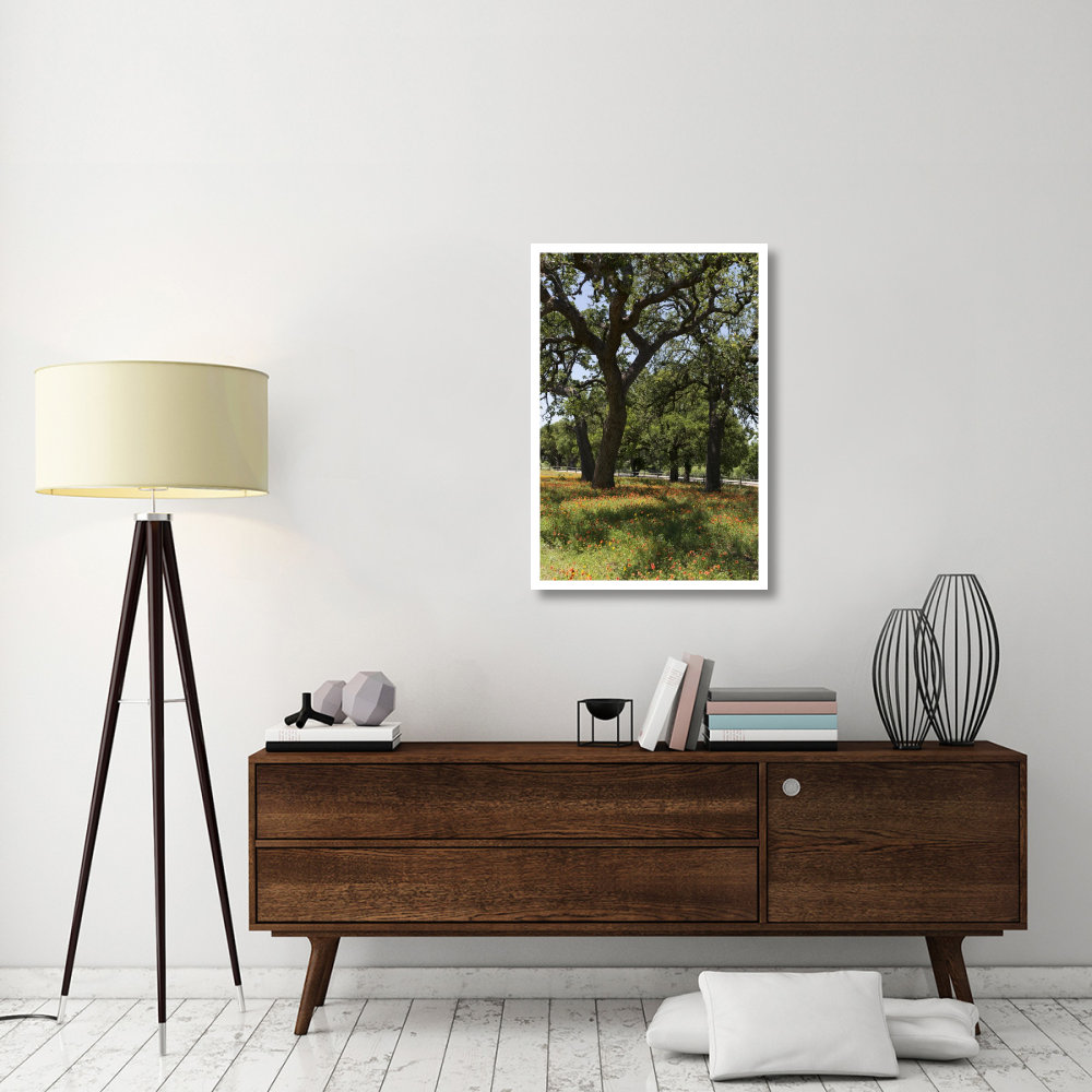 "Shade trees and wildflowers, LBJ Ranch, Texas Hill Country" Paper Art ...