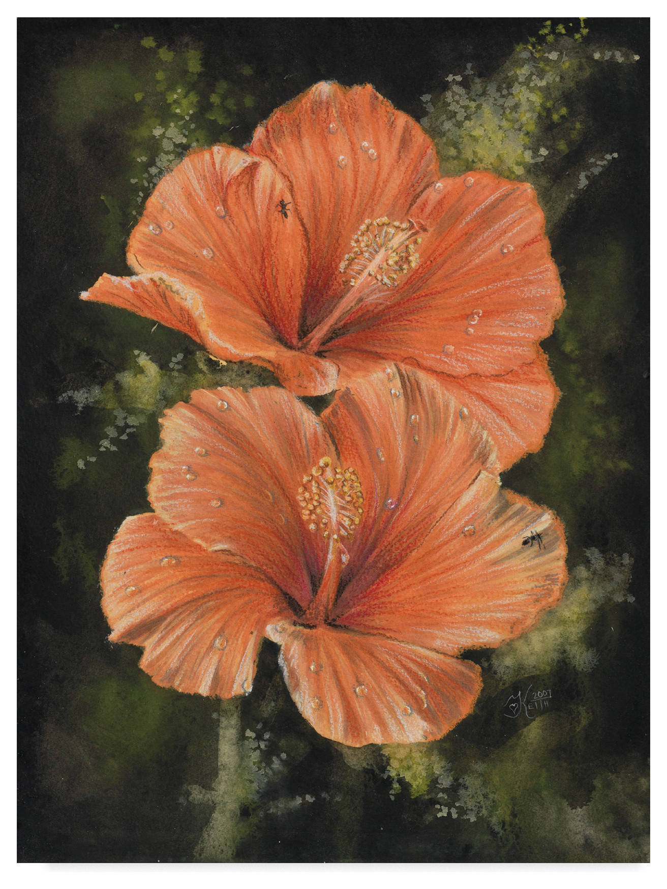 "Day Break" by Barbara Keith, Canvas Art, 19"x14" - Tropical - Prints ...