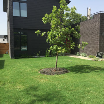 75 Modern Flower Bed Ideas You'll Love - September, 2025 | Houzz