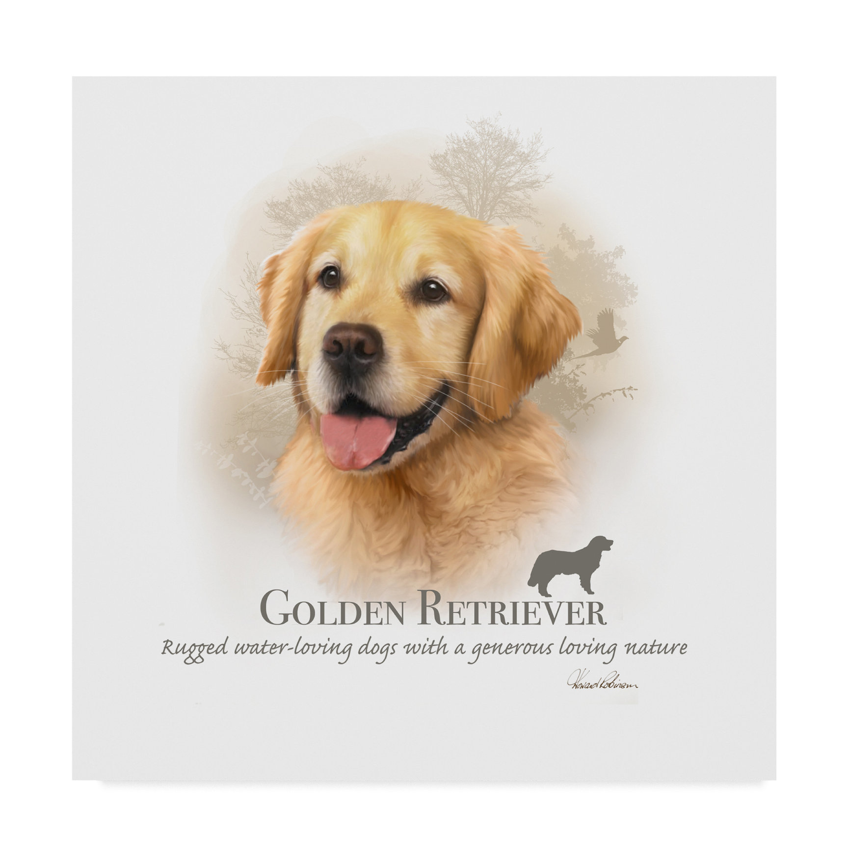 "Golden Retriever" by Howard Robinson, Canvas Art, 35"x35 ...