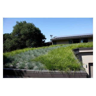 Portola Valley Roof Garden and More - Contemporary - Landscape - San ...