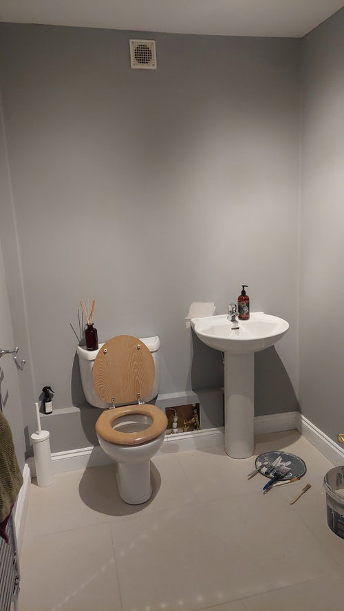 To panel or not to panel the downstairs loo | Houzz UK