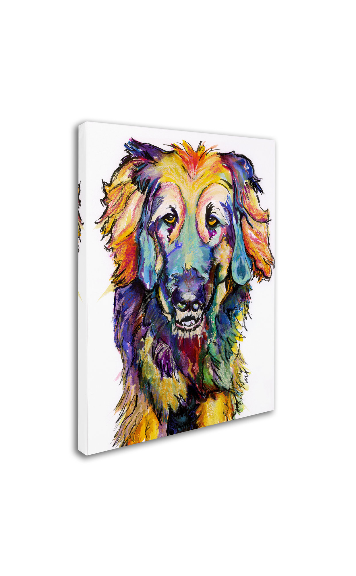 Pat Saunders-White 'Clive copy' Canvas Art, 18"x 24" - Contemporary ...