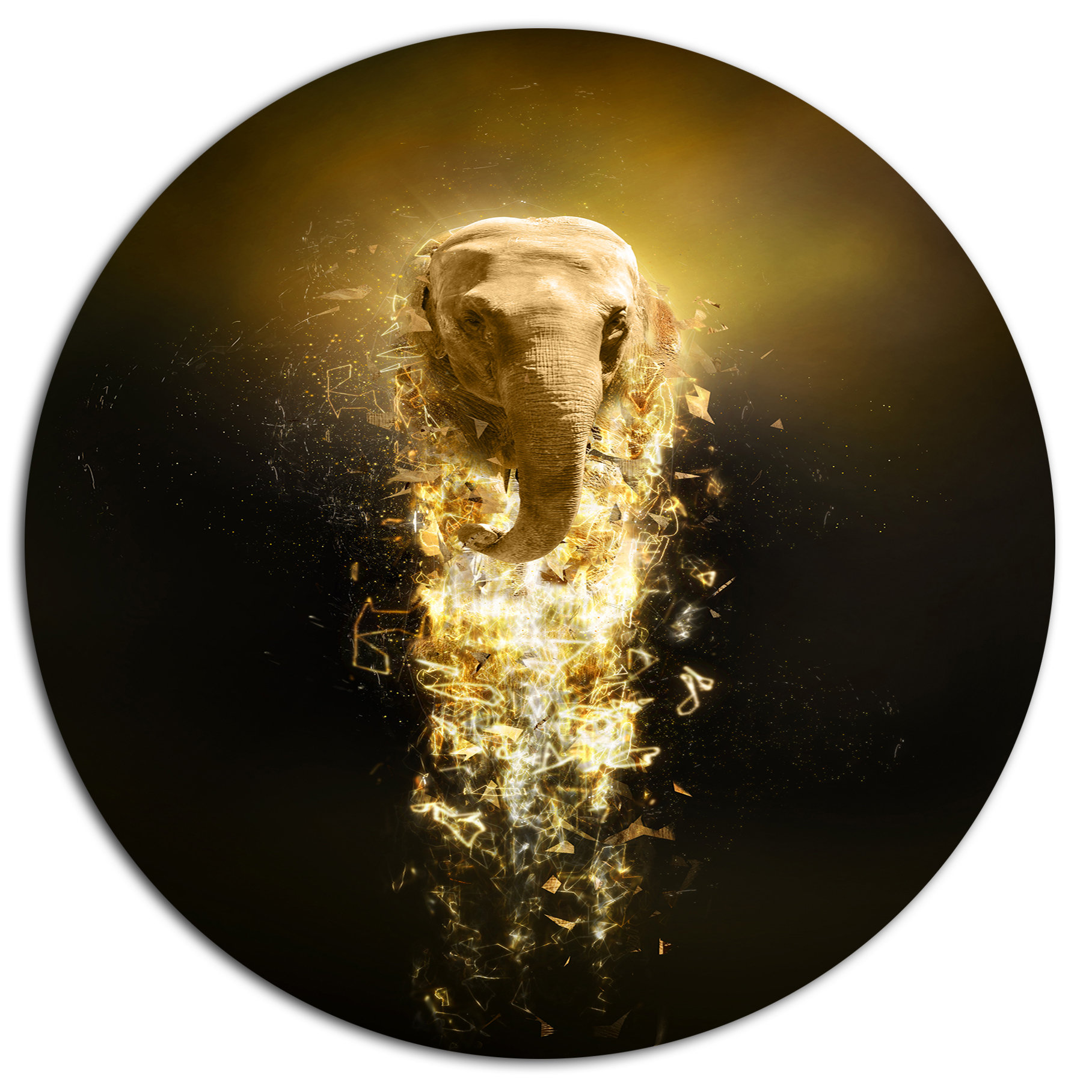 Fantasy Elephant On Black, Animal Disc Metal Wall Art, Disc of 23 inch ...